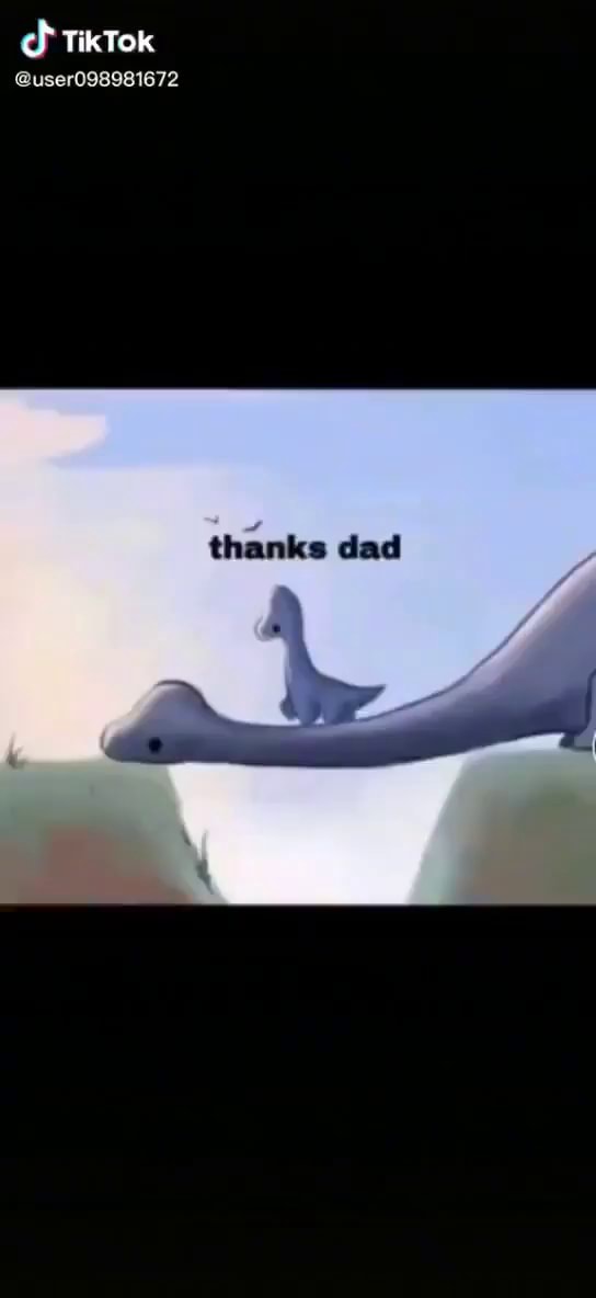 TikTok thanks dad - iFunny