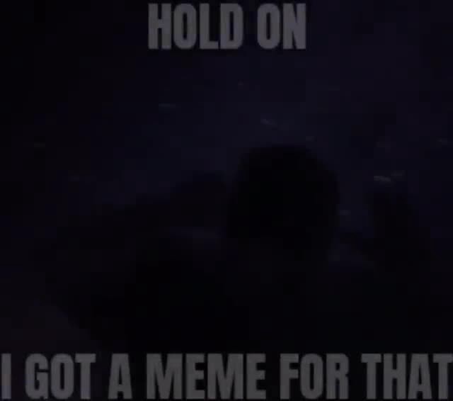 HOLD ON I GOT A MEME FOR THAT - iFunny