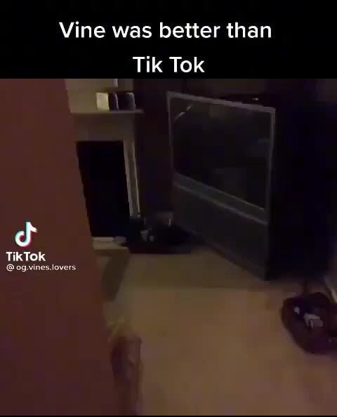 Vine was better than Tik Tok Tik ToK - iFunny