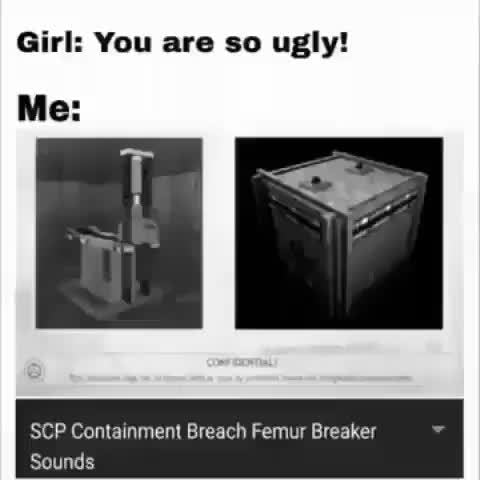 Girl: You are so ugly! SCP Conlammenl Breach Femur Breaker ' - iFunny