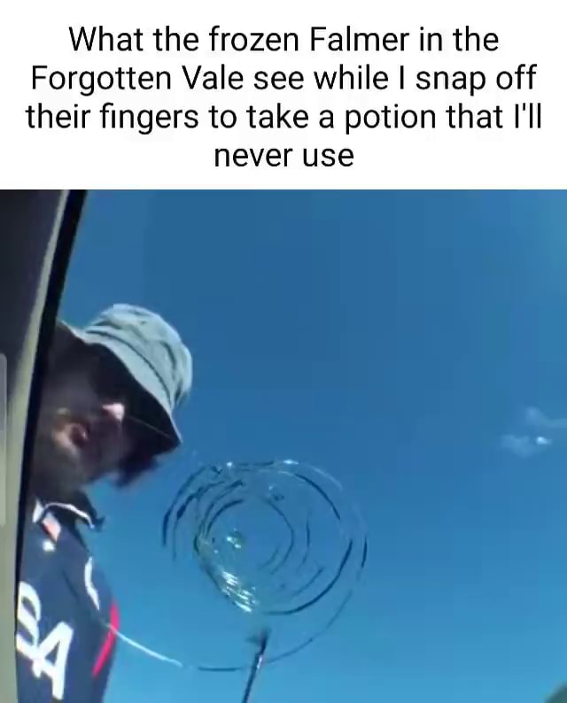 What the frozen Falmer in the Forgotten Vale see while I snap off their ...