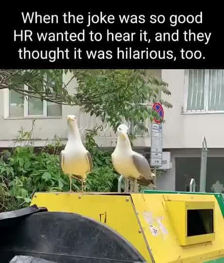 When the joke was so good HR wanted to hear it, and they thought it was ...