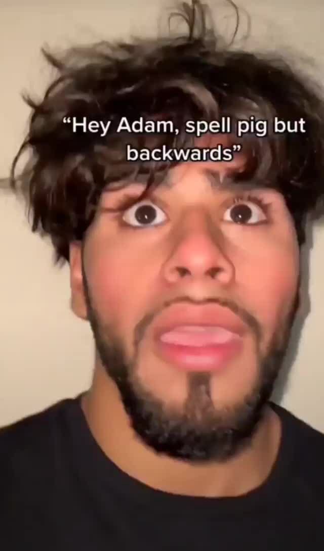 "Hey Adam, spell pig but backwards" - iFunny