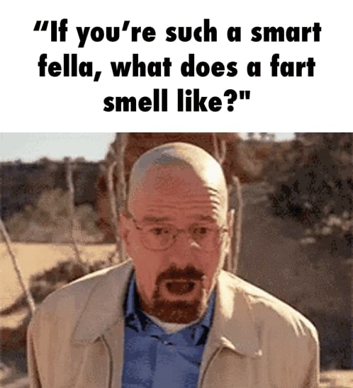 "If you're such a smart fella, what does a fart smell like?" - iFunny