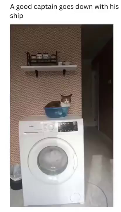 A good captain goes down with his ship - iFunny