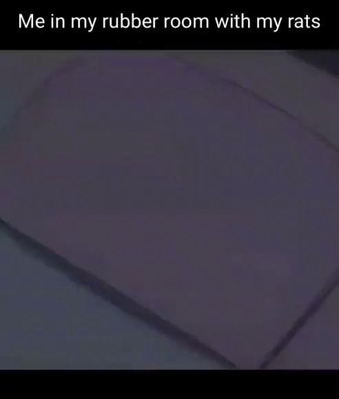 Me in my rubber room with my rats - iFunny