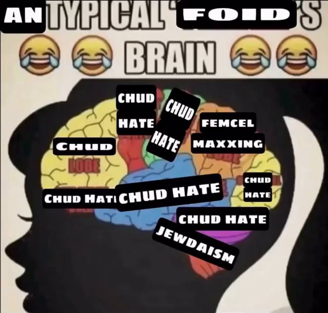 AN cHUD My HATE FEMCEL MAXXING CHUD HATE wy - iFunny