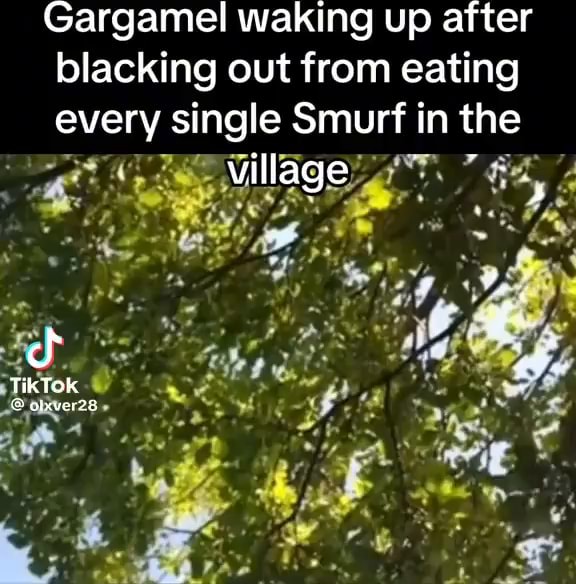 Gargamel waking up after blacking out from eating every single Smurf in ...