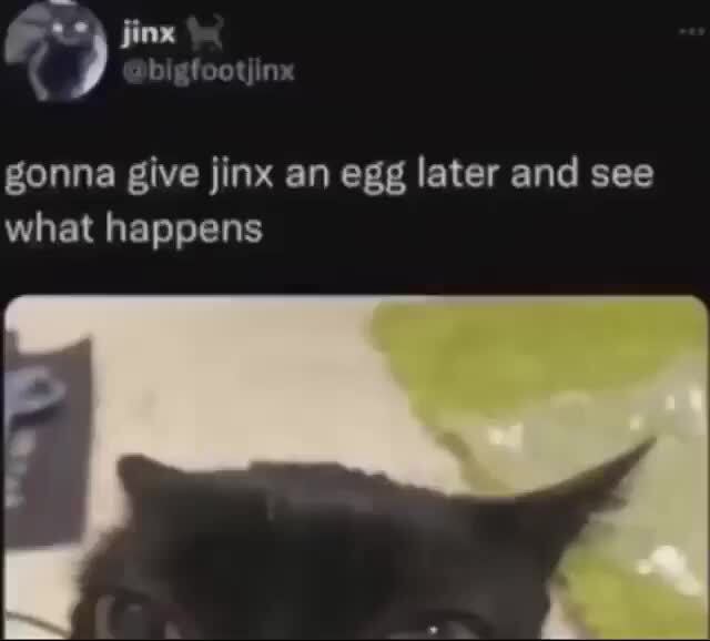 Jinx gonna give jinx an egg later and see what happens - iFunny