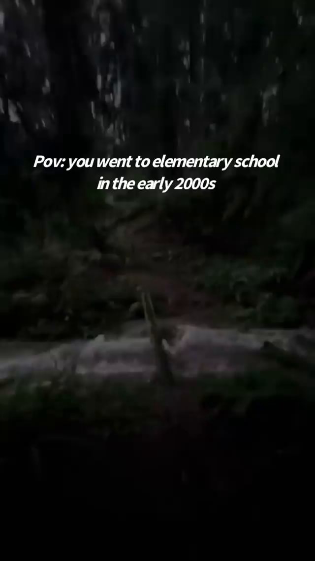Pov: you went to elementary school in the early 2000s - iFunny