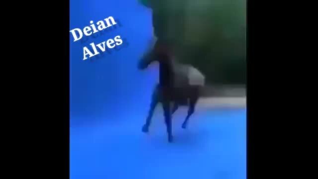 Meme do cavalo - iFunny Brazil