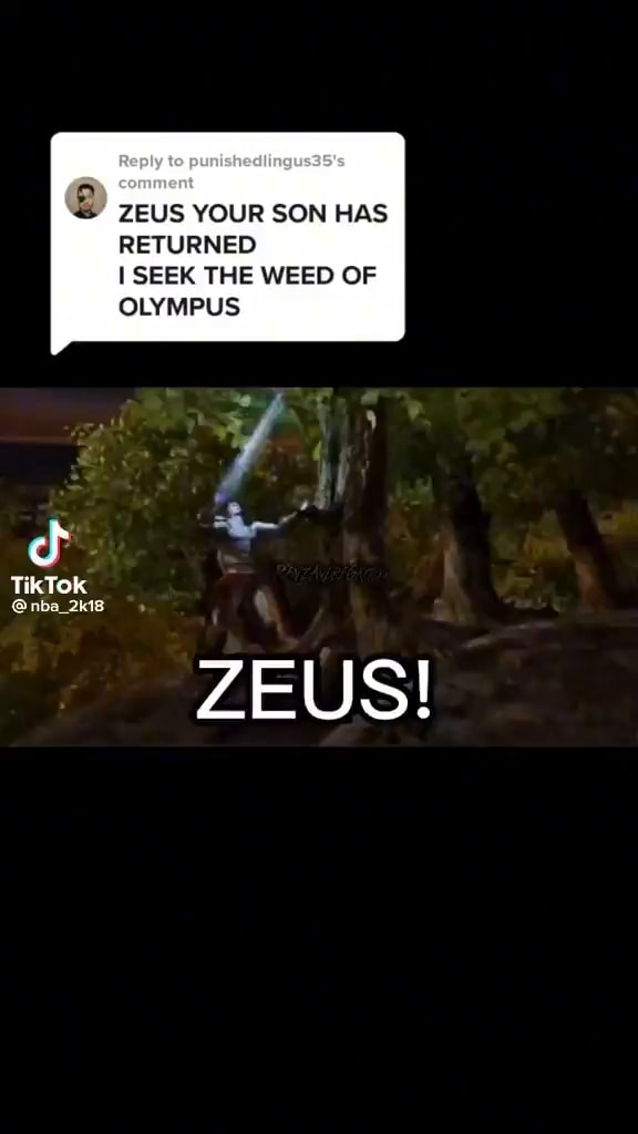 To ZEUS YOUR SON HAS RETURNED I SEEK THE WEED OF OLYMPUS TikTok @nba ...