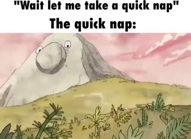 "Wait let me take a quick nap" The quick nap: all SS - iFunny