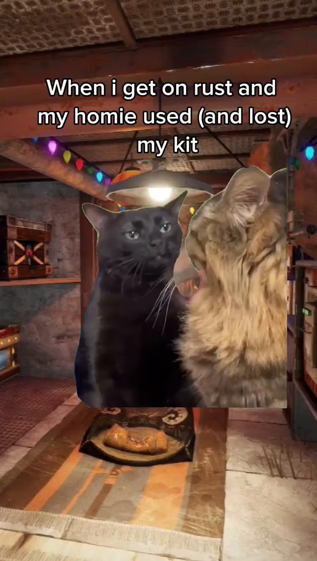 When i get on rust and my homie used (and lost) my kit - iFunny