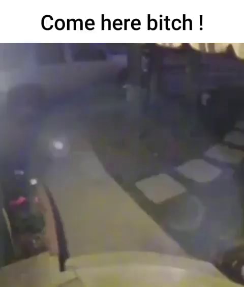 Come here bitch ! - iFunny