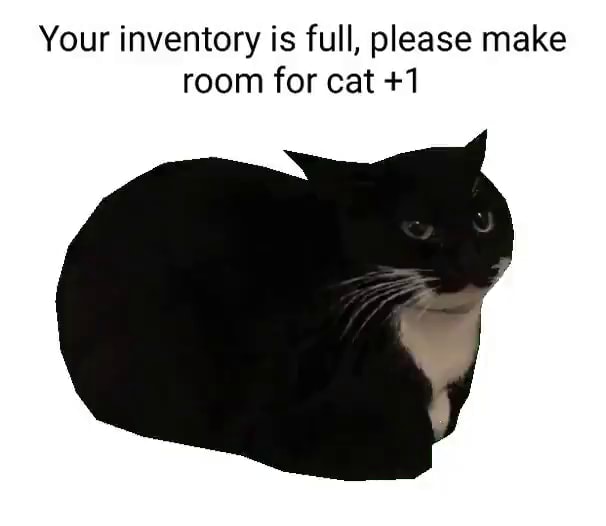 Your inventory is full, please make room for cat +1 - iFunny