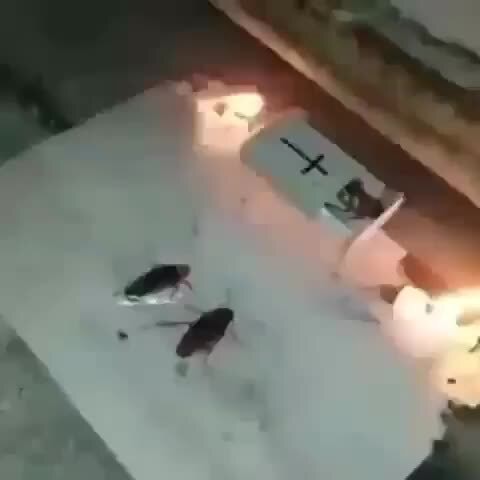 When homie pass @freddy_dank on instagram - iFunny