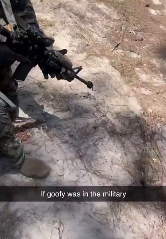 Goofy was in the military: - iFunny