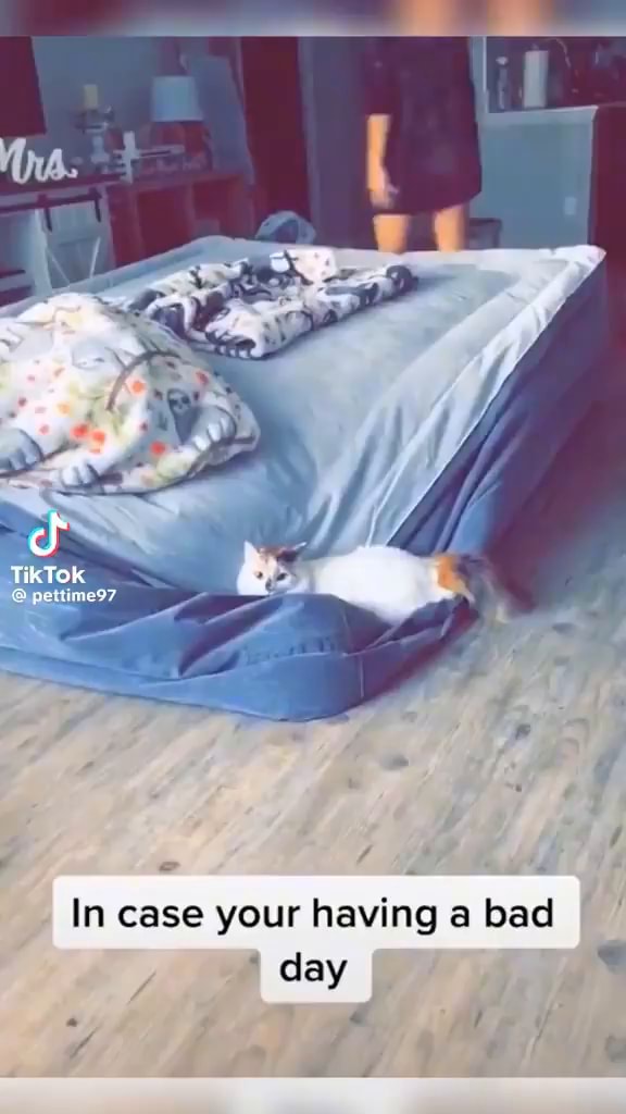 TikTok In case your having a bad I day - iFunny