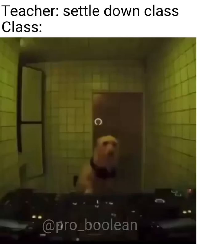 Teacher: settle down class Class: "@pro_boolean - iFunny