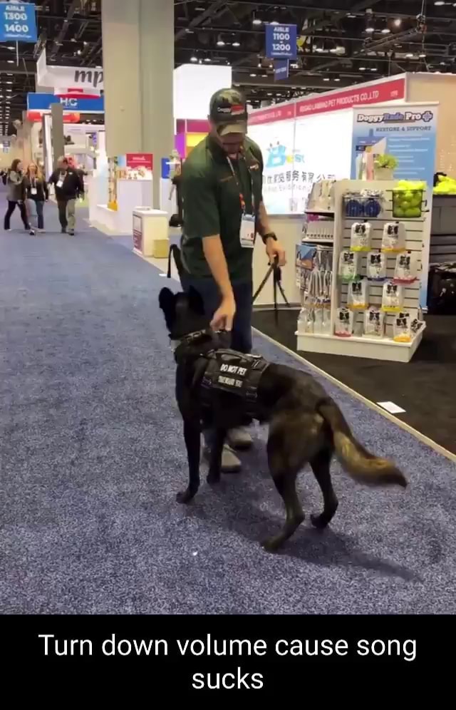 Turn down volume cause song sucks - iFunny