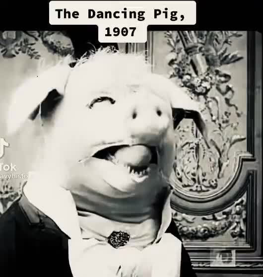The Dancing Pig, - iFunny