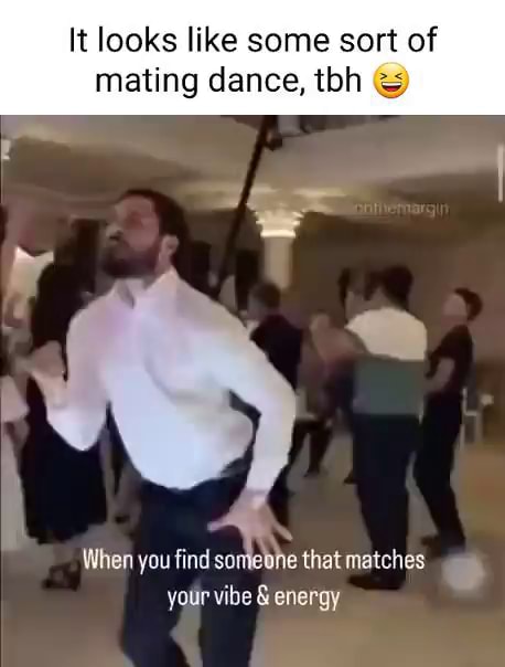 It looks like some sort of mating dance, tbh & When you find so that ...