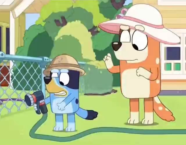 Video memes uCuCsRd8B by gangster_bingo: 1 comment - iFunny