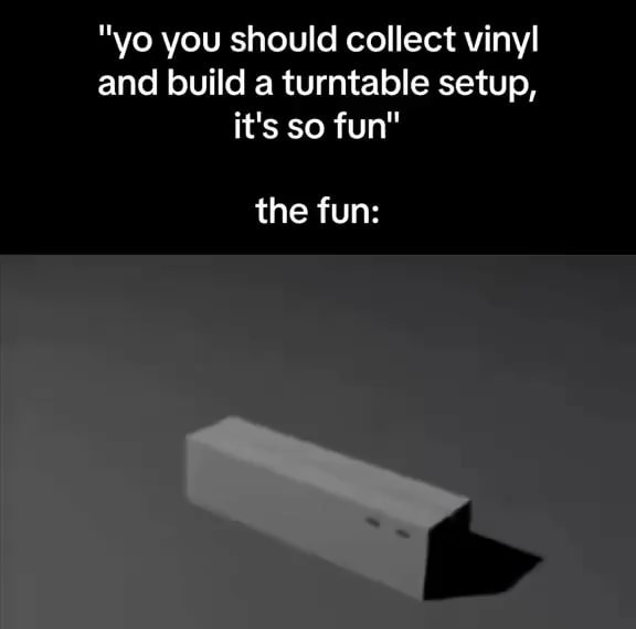 "yo you should collect vinyl and build a turntable setup, it's so fun ...