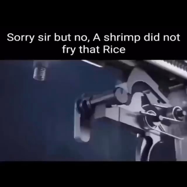 Sorry sir but no, A shrimp did not fry that Rice - iFunny