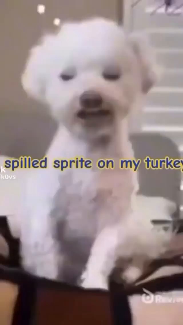 Spilled sprite on my - iFunny