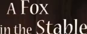 A FOx in the Stable - iFunny