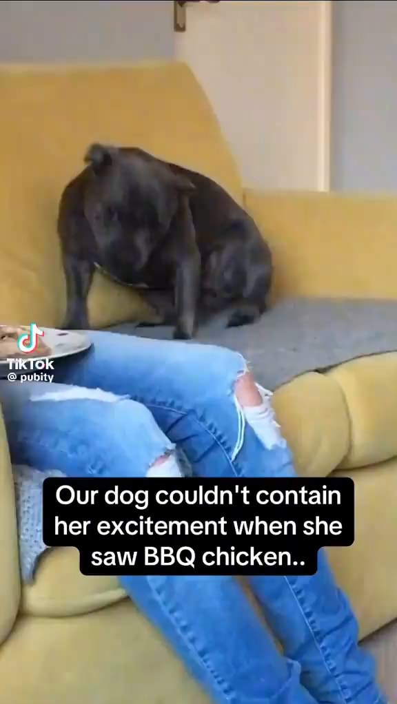 I Our dog couldn't contain I her excitement when she saw BBQ chicken ...