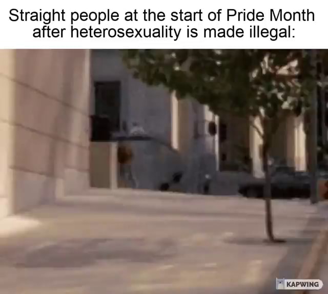 Straight people at the start of Pride Month after heterosexuality is ...