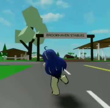 BROOKHAVEN ST - iFunny