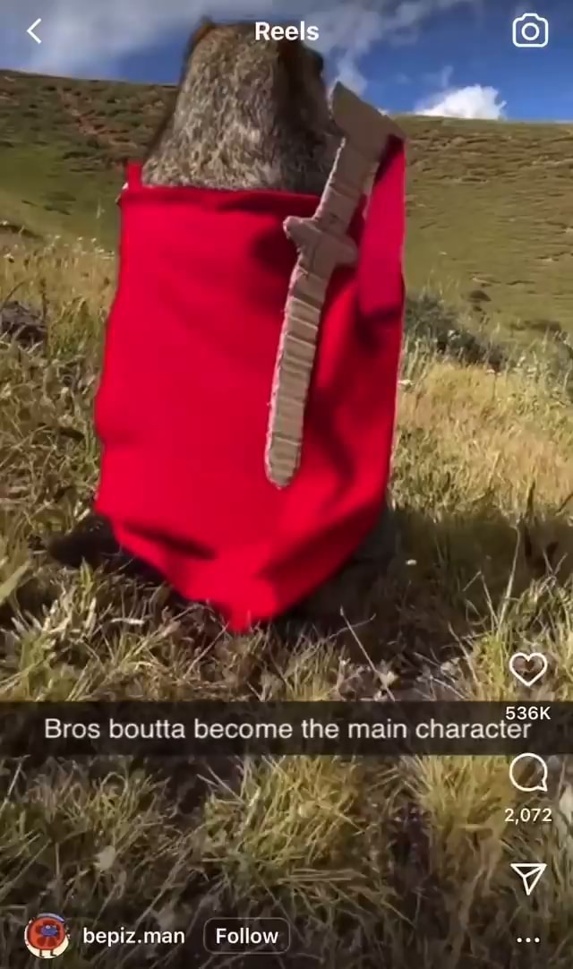 Reels Bros boutta become the main character bepiz. man I Follow - iFunny