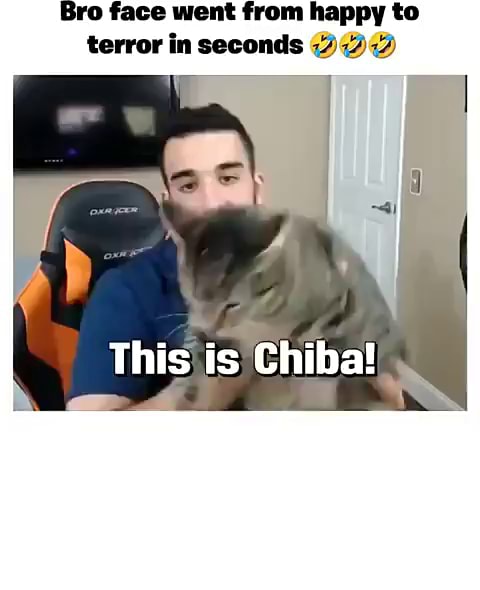 Bro face went from happy to terror in seconds This is Chiba! - iFunny