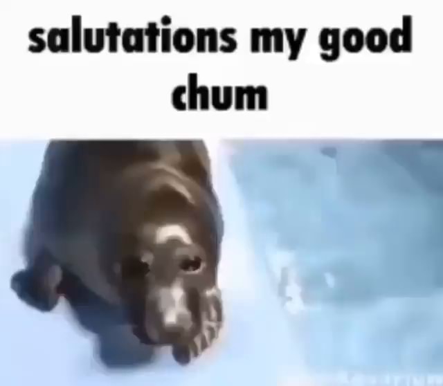 Salutations my good chum - iFunny