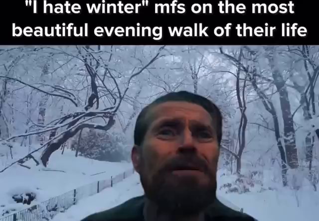 Ate winter" mfs on the most beautiful evening walk of their life - iFunny