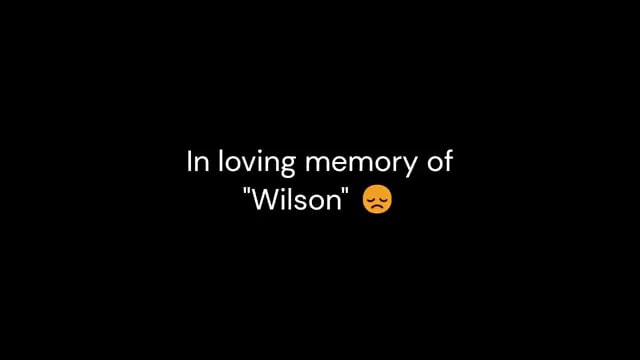 Lo siento Wilson - In loving memory of "Wilson" - iFunny