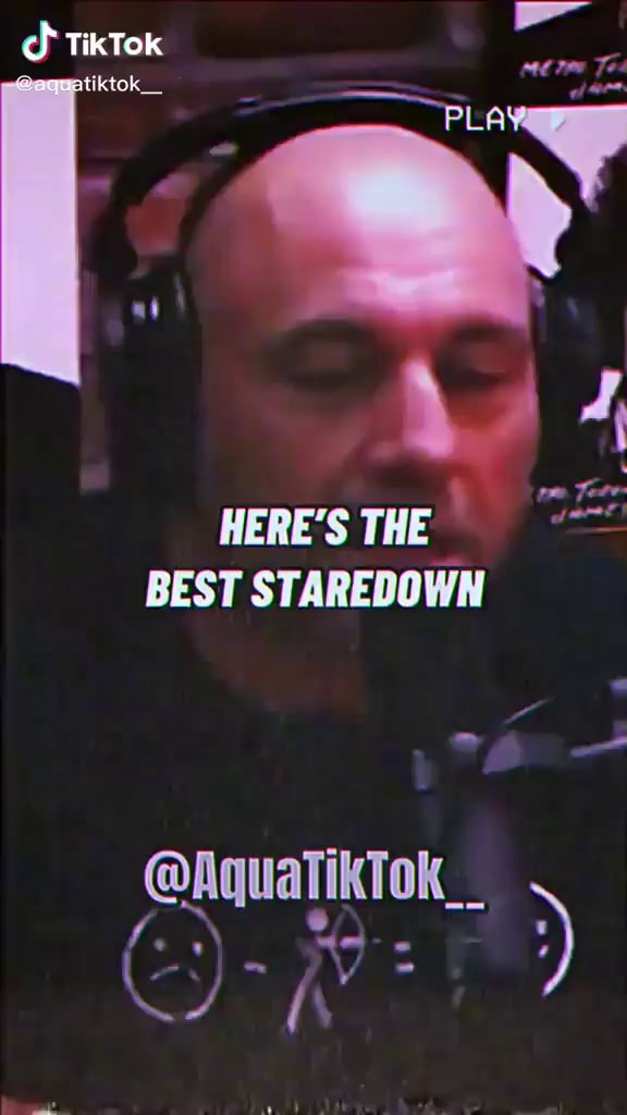 TikTok tiktok_ Wy HERE'S THE BEST STAREDOWN - iFunny