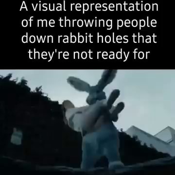 A visual representation of me throwing people down rabbit holes that ...