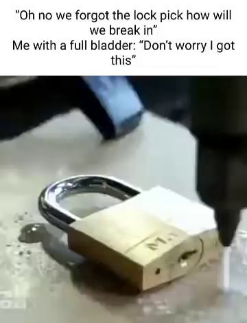 "Oh no we forgot the lock pick how will we break in" Me with a full ...