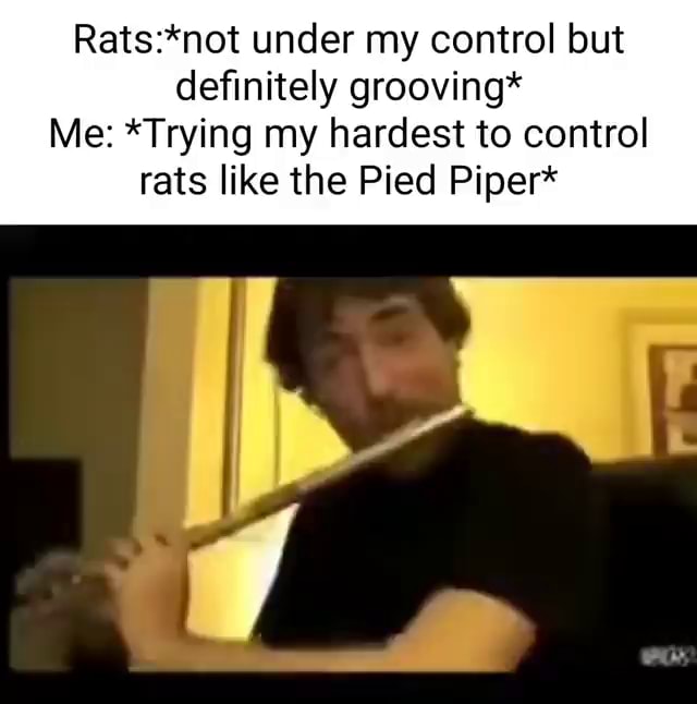 Under my control but definitely grooving* Me: *Trying my hardest to ...