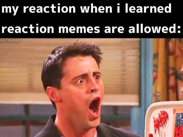 My reaction when learned reaction memes are allowed: - iFunny