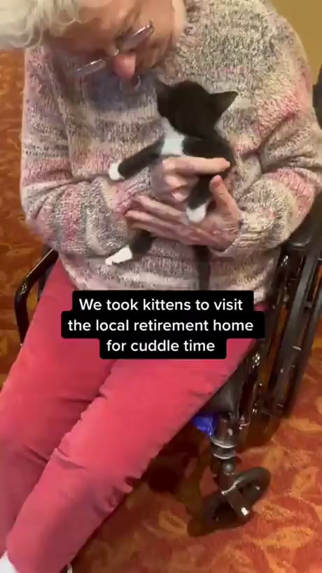 We took kittens to visit the local retirement home for cuddle time - iFunny