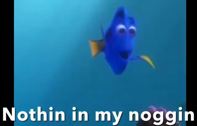 Nothin in my noggin - iFunny