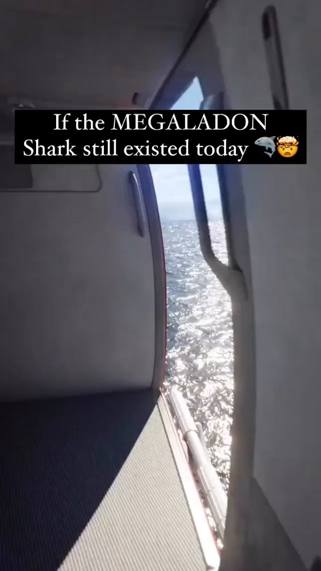 If che ME Shark still existed today - iFunny