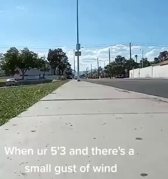 When ur 5'3 and there's a small gust of wind - iFunny