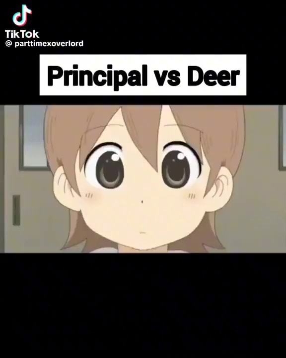 TikTok Principal vs Deer - iFunny
